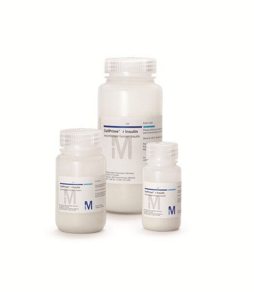 CellPrime® r Insulin recombinant human insulin, 1 g | 4512-01